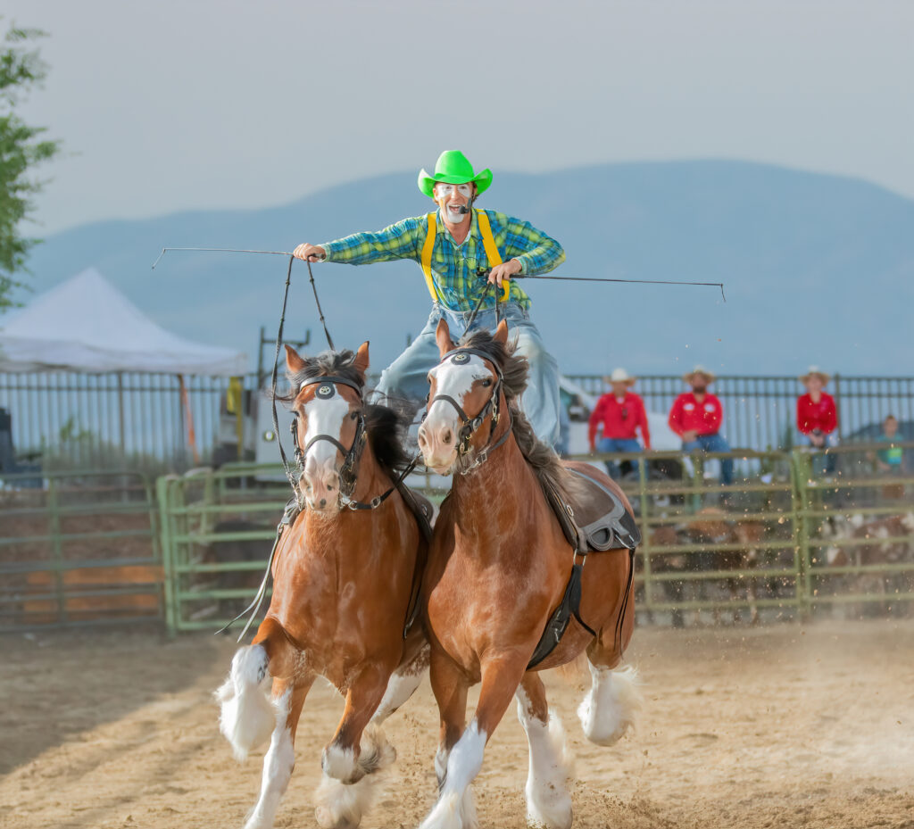 Rodeo Clown - Mandan Rodeo